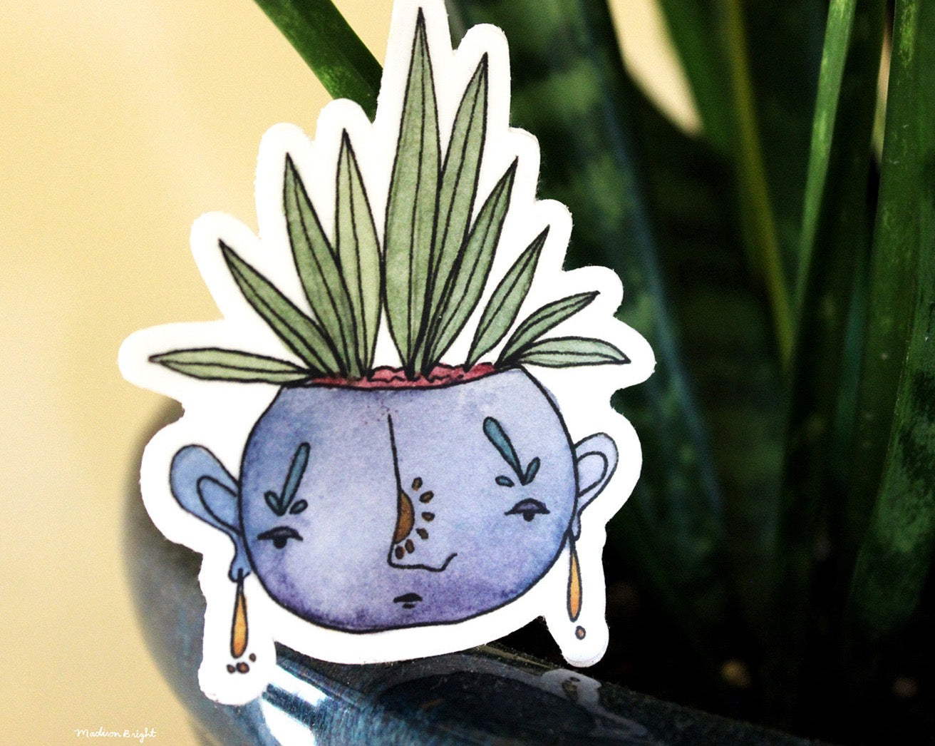 Awakened Plant Pot - Clear Waterproof Sticker – Maddie and the Moon