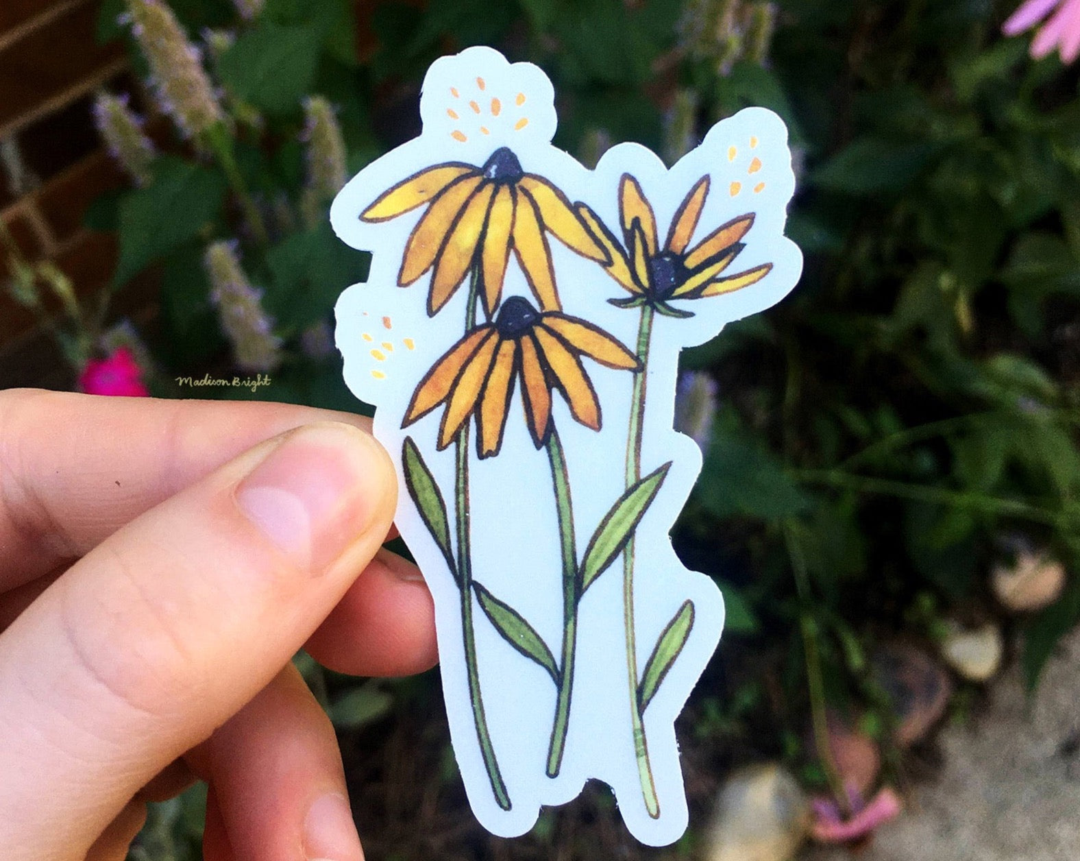 Black-Eyed Susan Flowers - Clear Waterproof Sticker – Maddie and the Moon