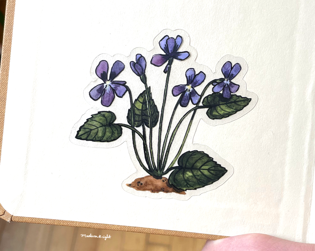 Common Blue Violets - Clear Waterproof Sticker – Maddie and the Moon